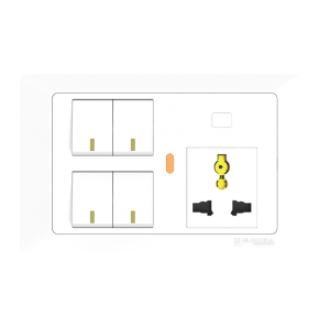 4 GANG, SOCKET & IND - Electra Electric, Biratnagar, Nepal