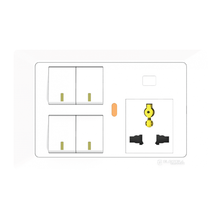 4 GANG, SOCKET & IND - Electra Electric, Biratnagar, Nepal